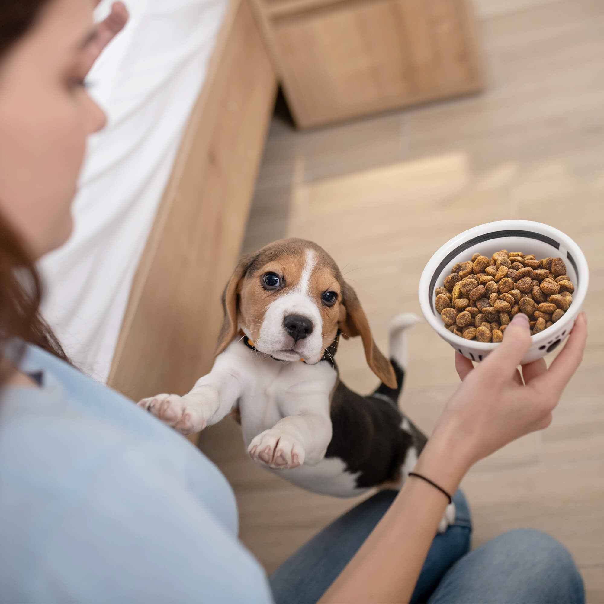 Essential Feeding Accessories Every Dog Owner Needs – Pup World USA